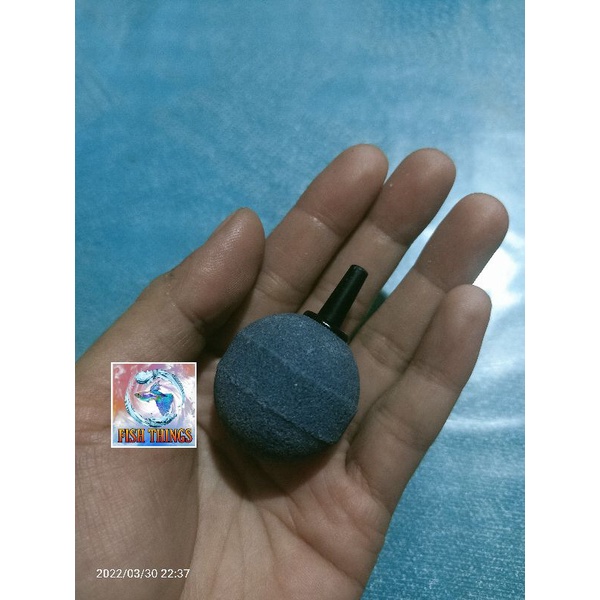Round Air Stone For Aquarium Airstone | Lazada PH