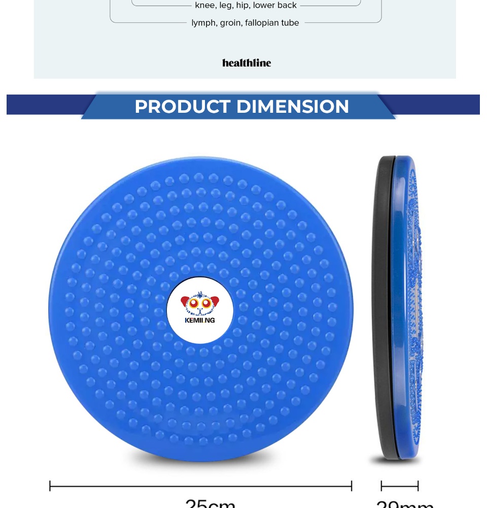 RIDICA Balance Rotating Trimmer Fitness Core Waist Twisting Disc ...