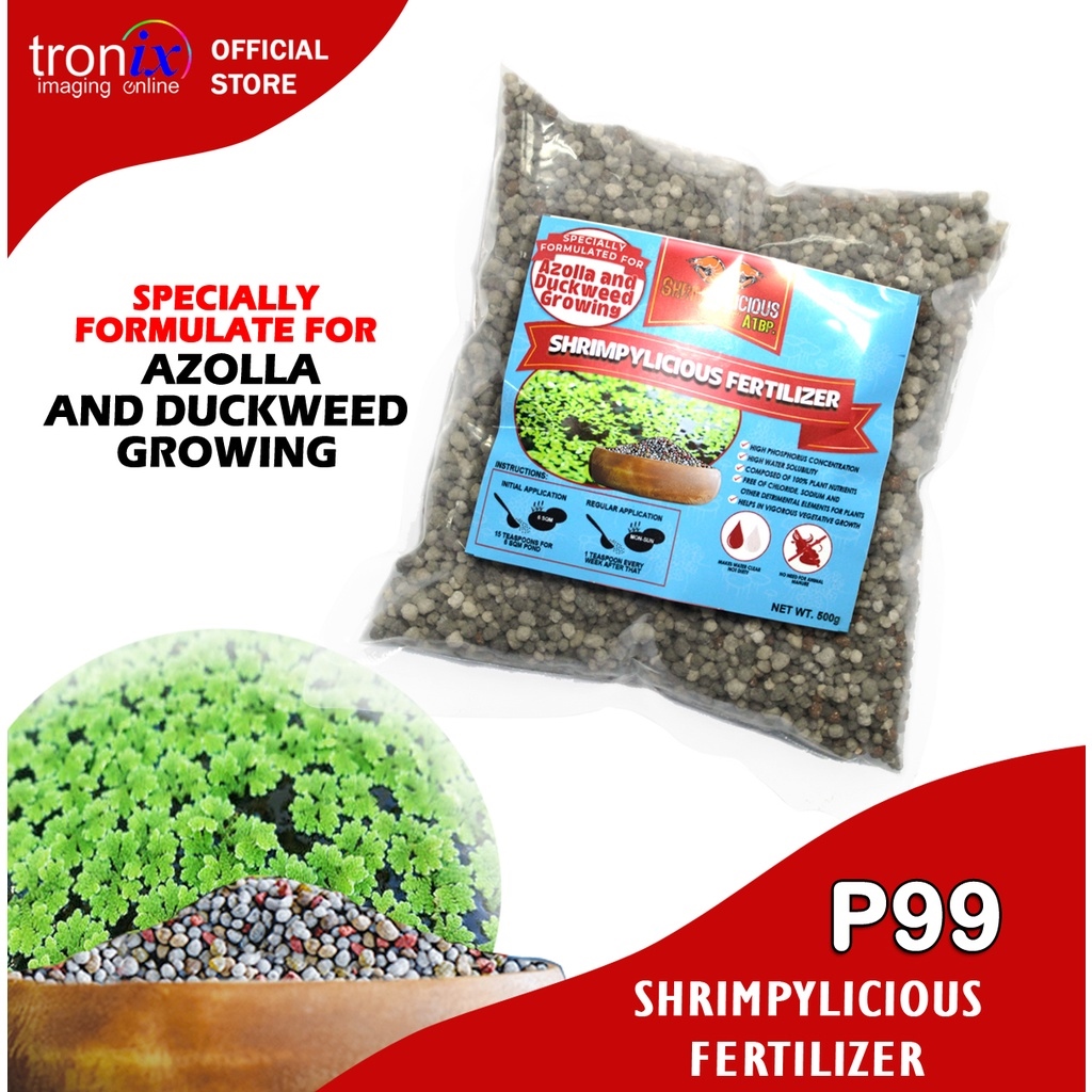 1Native Azolla Organic Fertilizer - PATABA Plantito Plantita Natural ...
