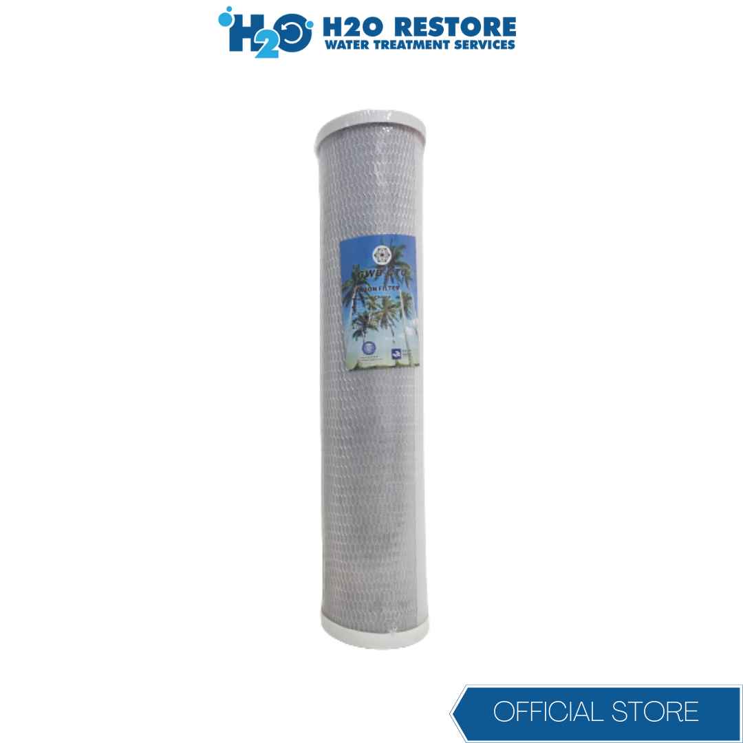 Carbon Block Water Filter For 20" Big Blue Filter | Lazada PH