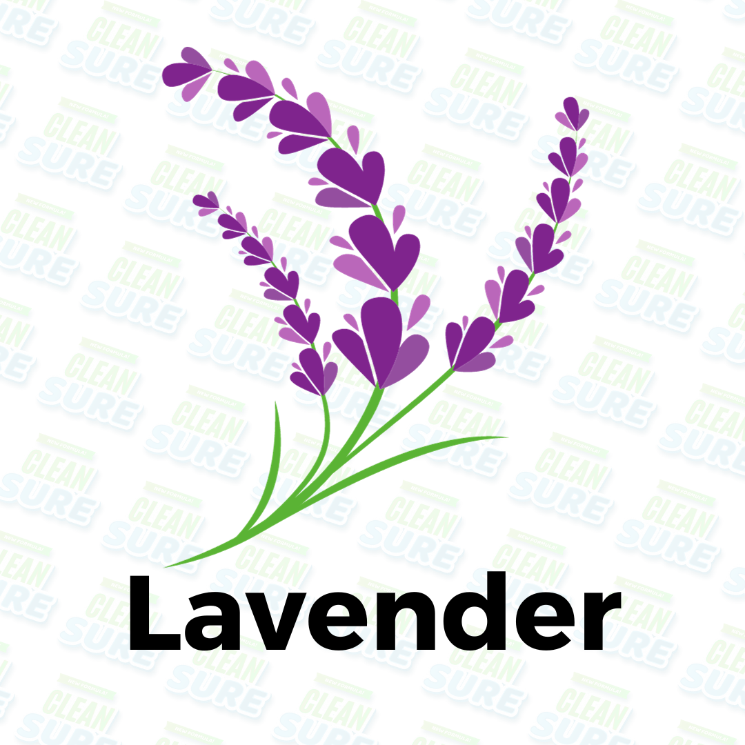 CleanSure DIY Fabric Conditioner Kit 10 Liters Yield Premium FabCon Set ...