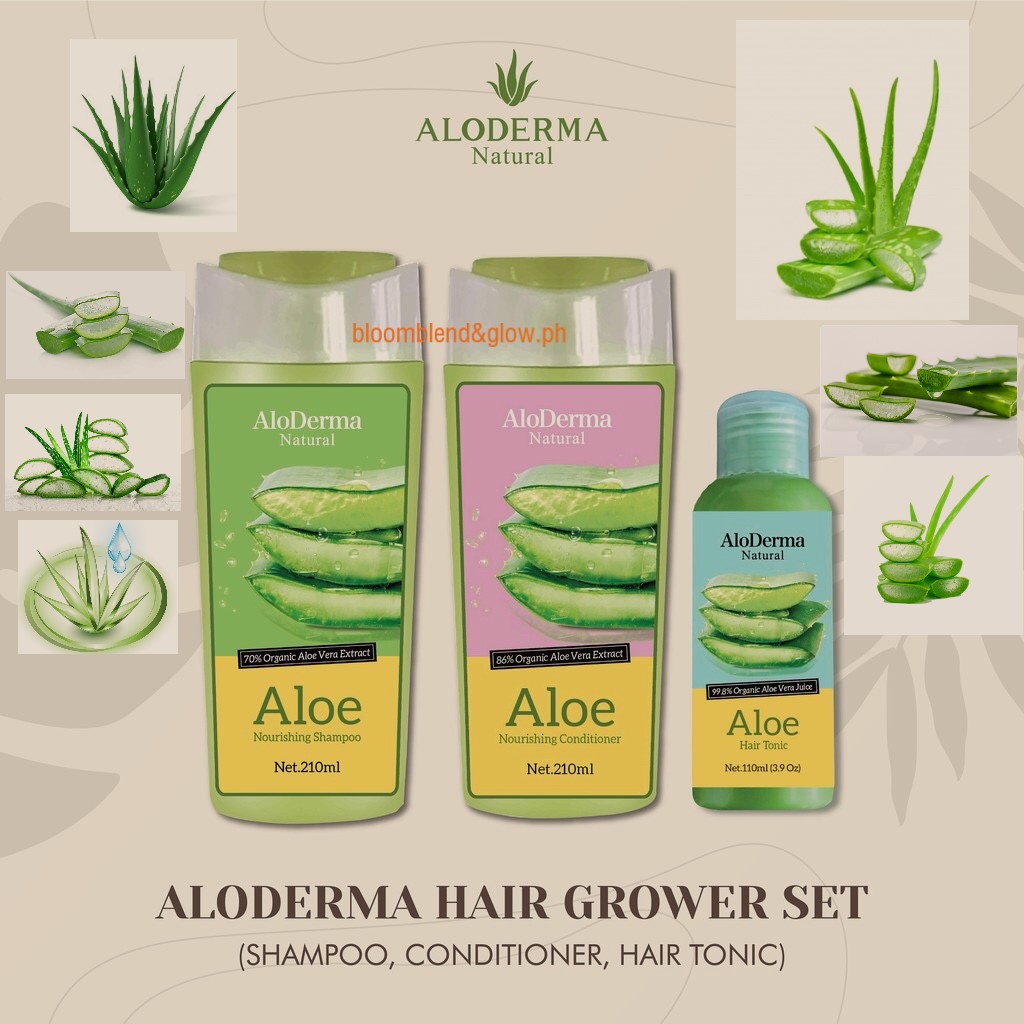 AloeDerma/AloDerma Scalp & Hair Care Set of 3 (Shampoo, Conditioner ...