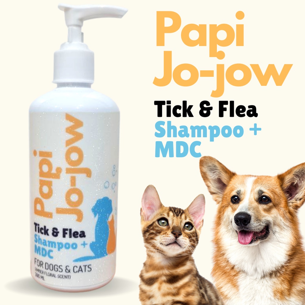 Papi Jo-Jow Tick & Flea Shampoo + MDC for Dogs and Cats Amber Floral ...