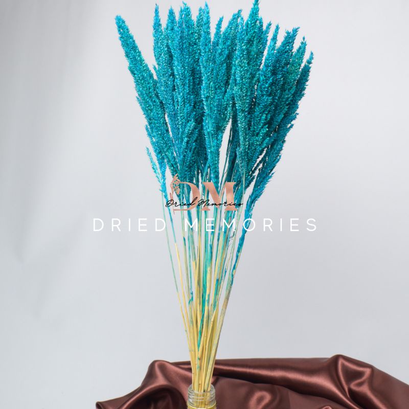 Dried Trigo Wheat Flower Real Flower Dried Hare | Lazada PH