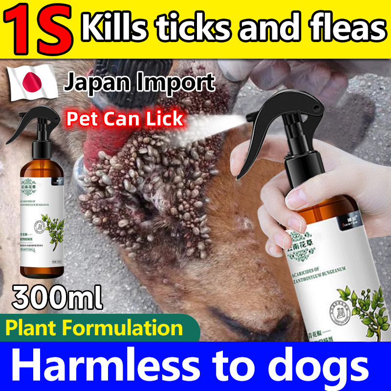 Tick and Flea Spray 300ML Anti Tick Garapata Flea Pulgas & Lice Kuto ...