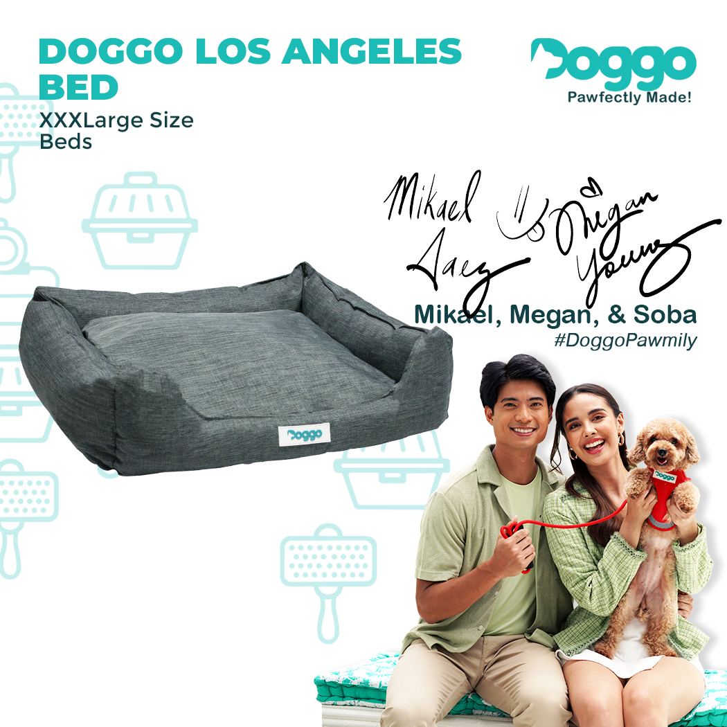 Doggo Los Angeles Bed | Lazada PH