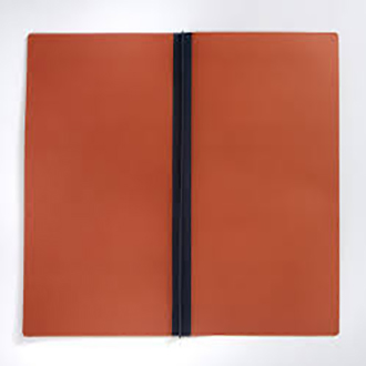 Pressboard Expanding Folder Plain Color U.S Size Short / Long | Lazada PH