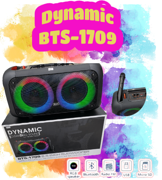 BTS-1709 Brodu Subwoofer Bluetooth Karaoke Speaker | Lazada PH