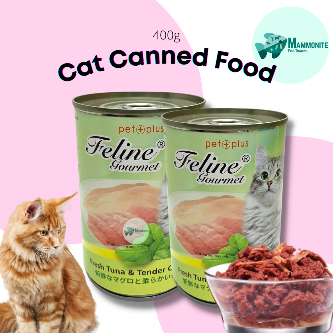 Pet Cat Feline Canned Food Gourmet Fresh Tuna Healthy 400g | Lazada PH