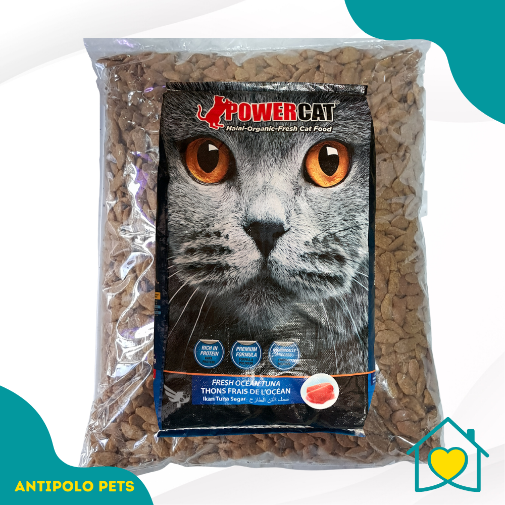 Powercat Organic For Kitten and Cat Dry Food 1kg | Lazada PH