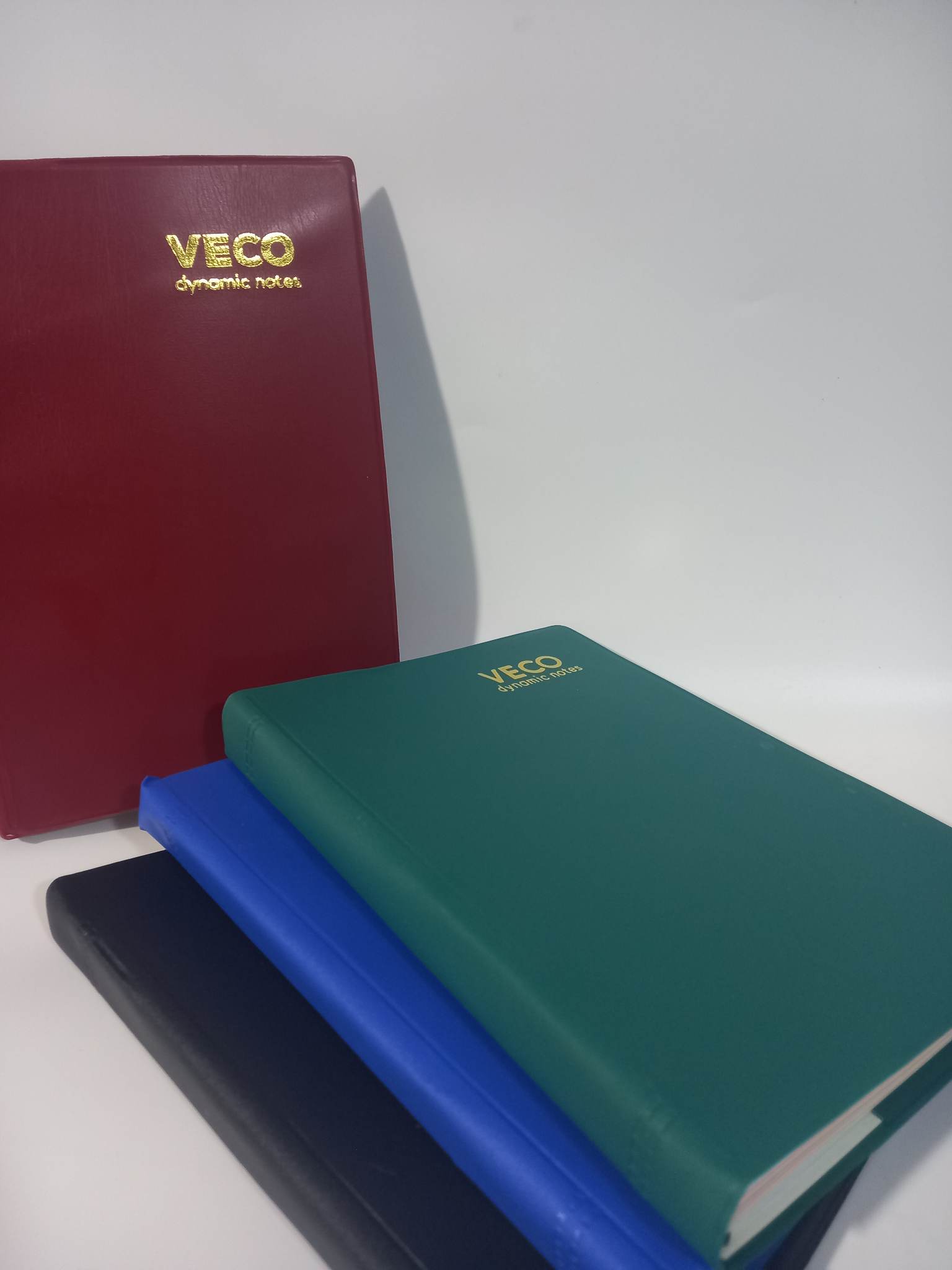 Binder Notebook | Veco | 10 Divisions | Ruled | Lazada PH