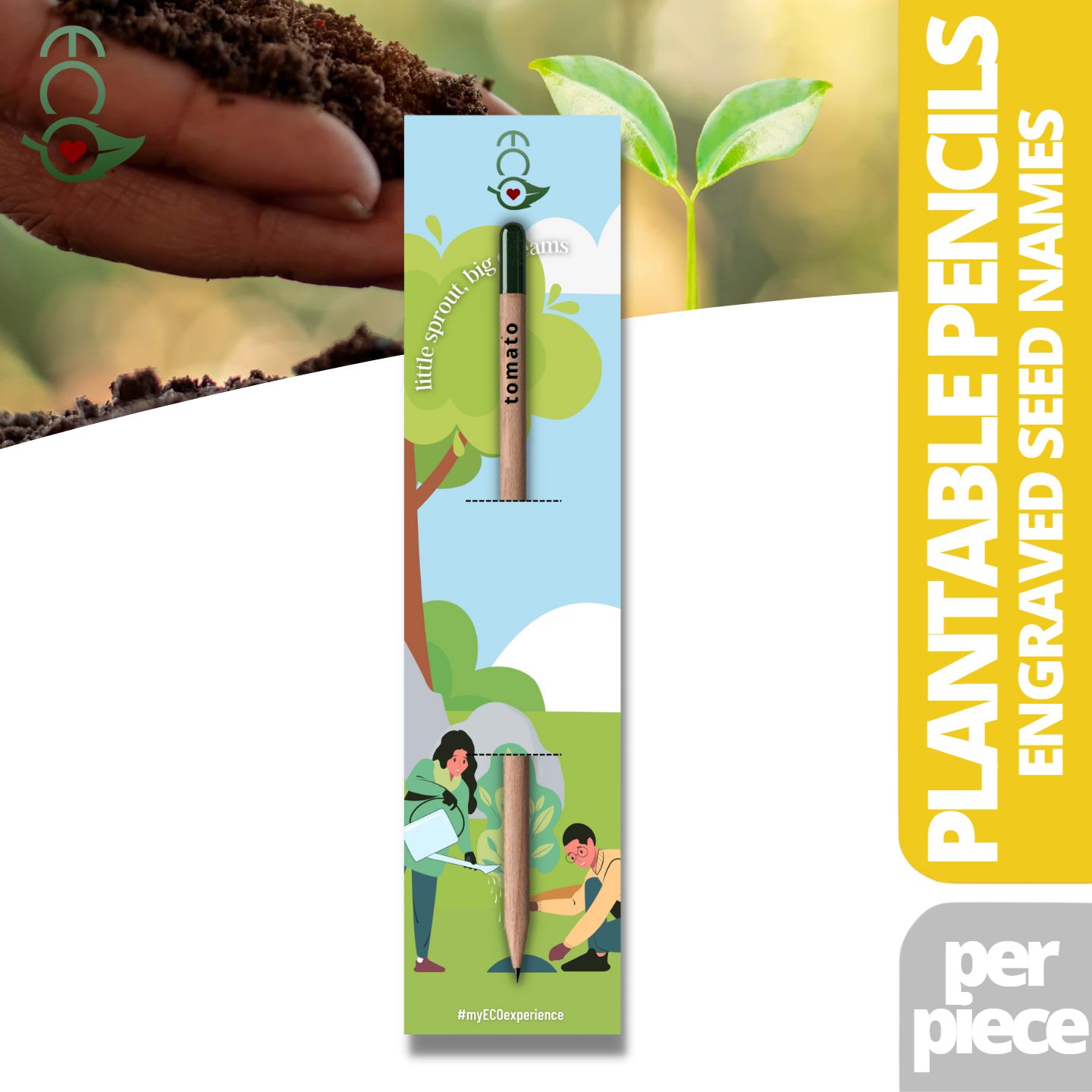 Ecò Plantable Seed Pencil Sprout Pencils with Flower, Herb & Vegetable ...