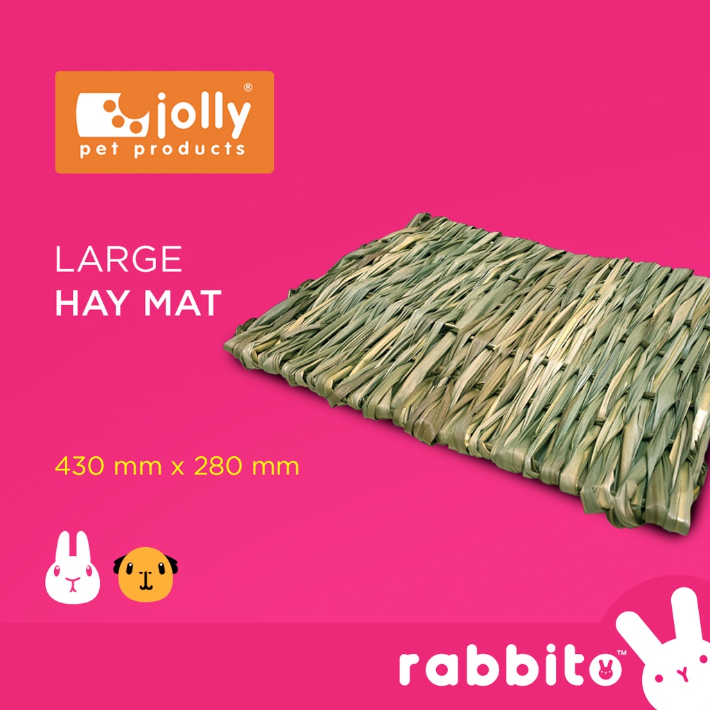 Jolly Large Hay Mat for rabbits, guinea pigs and small animals | Lazada PH