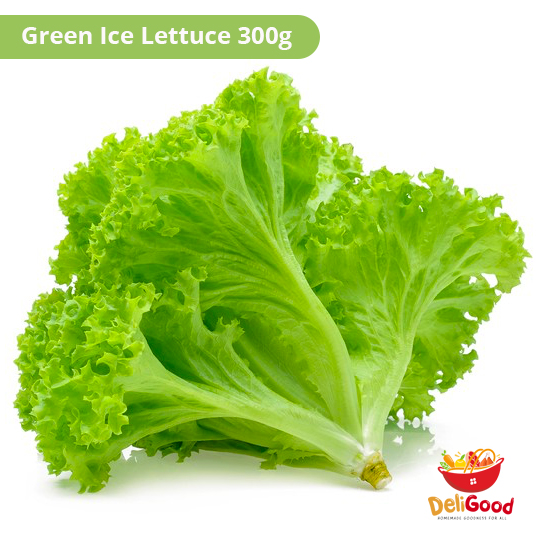 Green Ice Lettuce 300g | Lazada PH