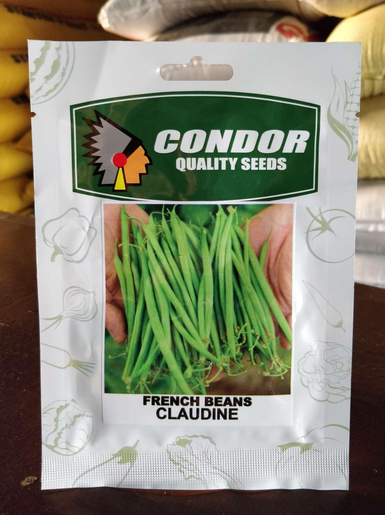 CONDOR SEEDS - FRENCH BEANS SEEDS - CLAUDINE 5 Grams | Lazada PH