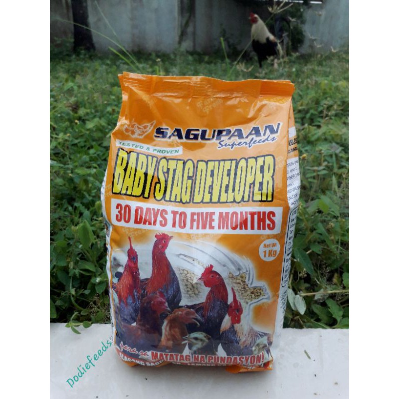 SAGUPAAN BABY STAG DEVELOPER | Lazada PH