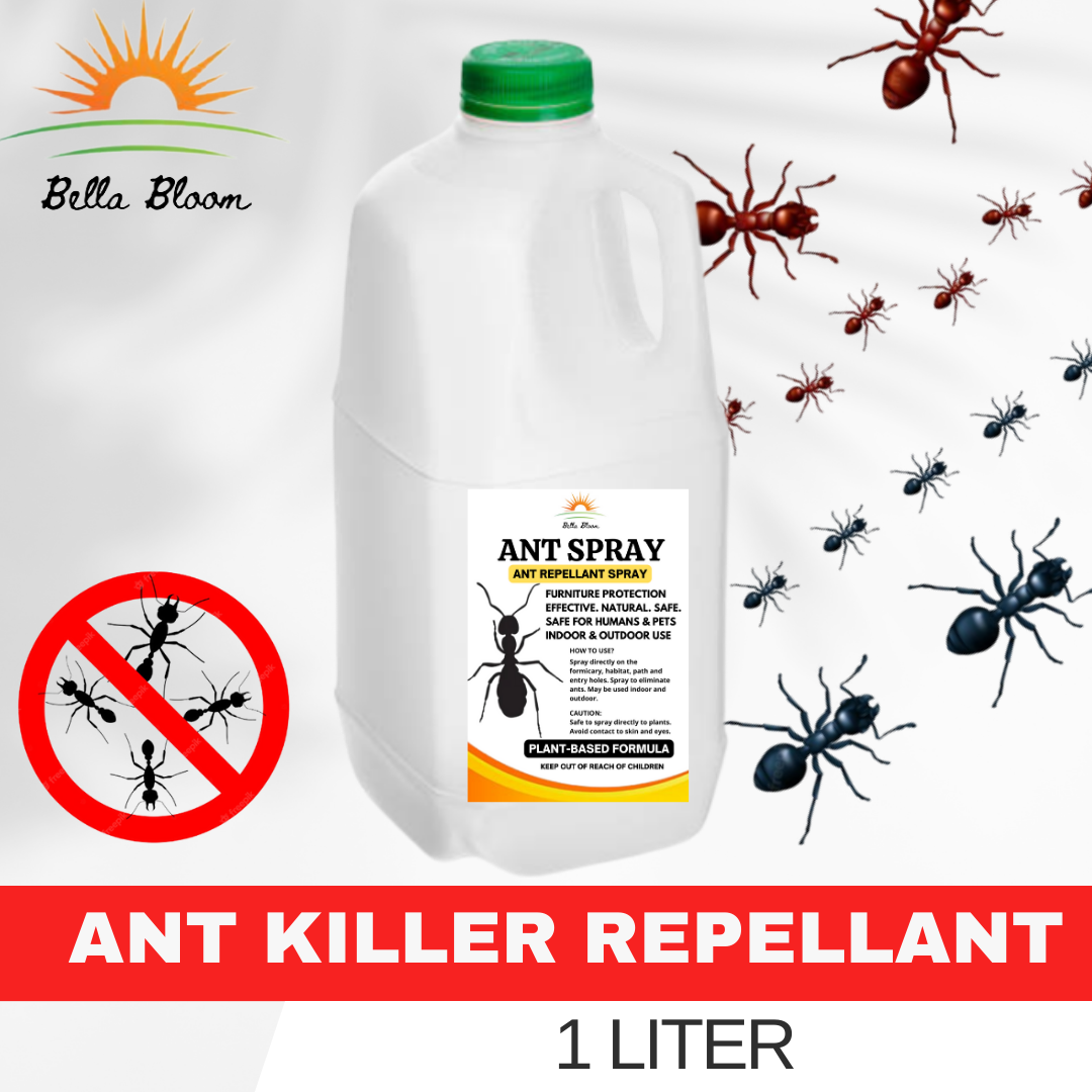 Bella Bloom Ant Spray | Lazada PH