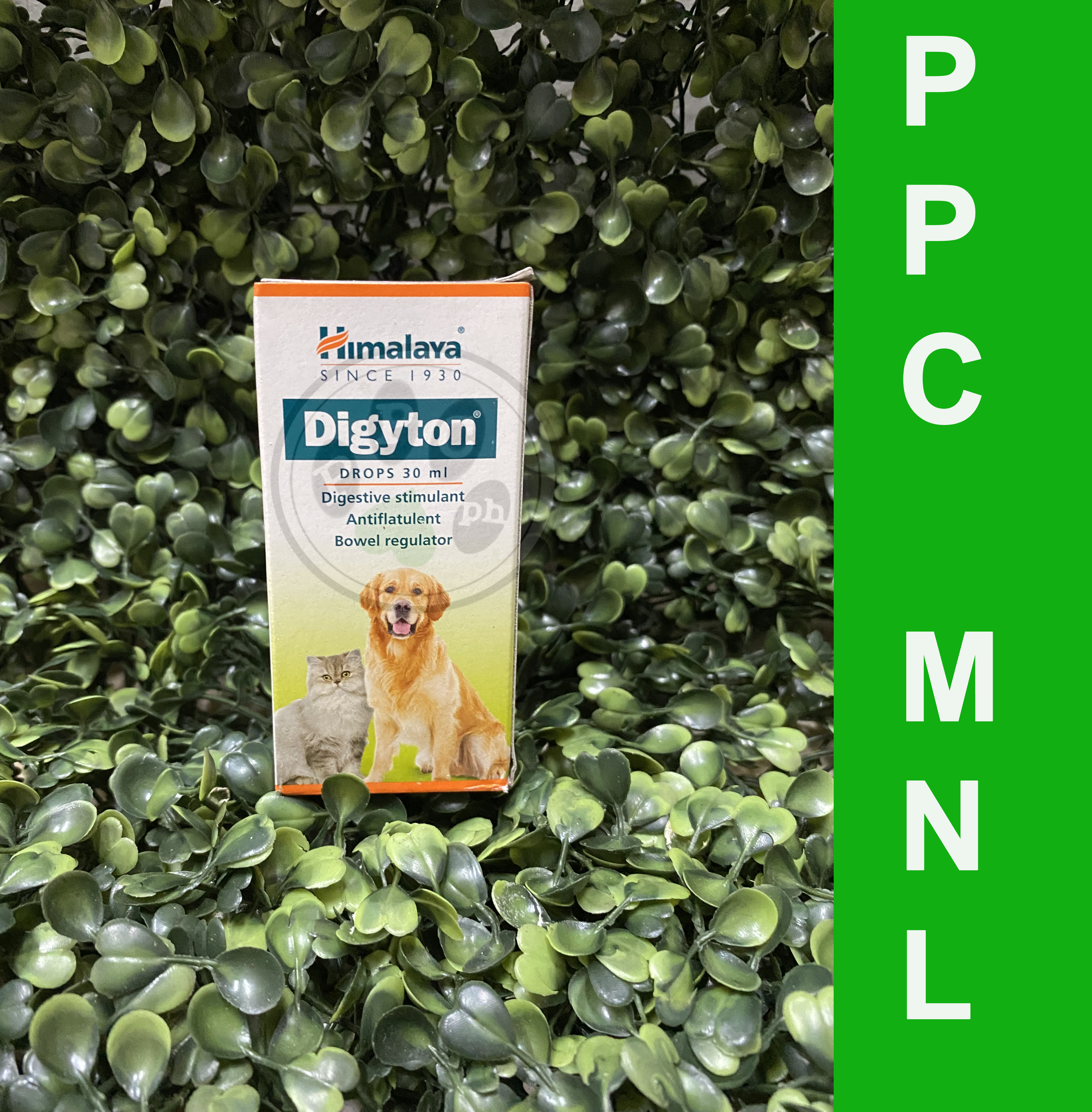 Himalaya Digyton Digestive Drops 30ml | Lazada PH