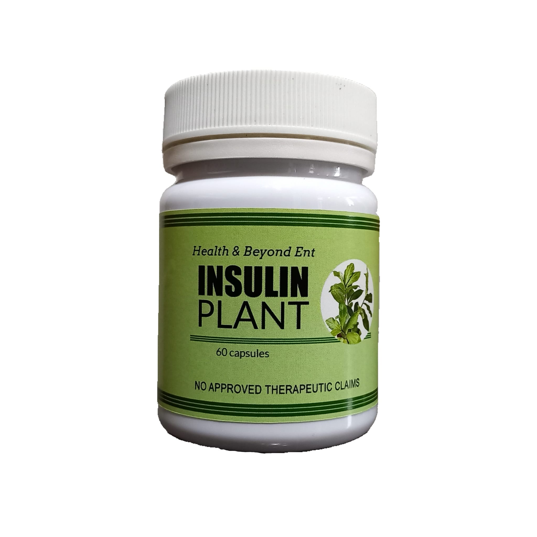 Insulin Capsules (60caps) | Lazada PH