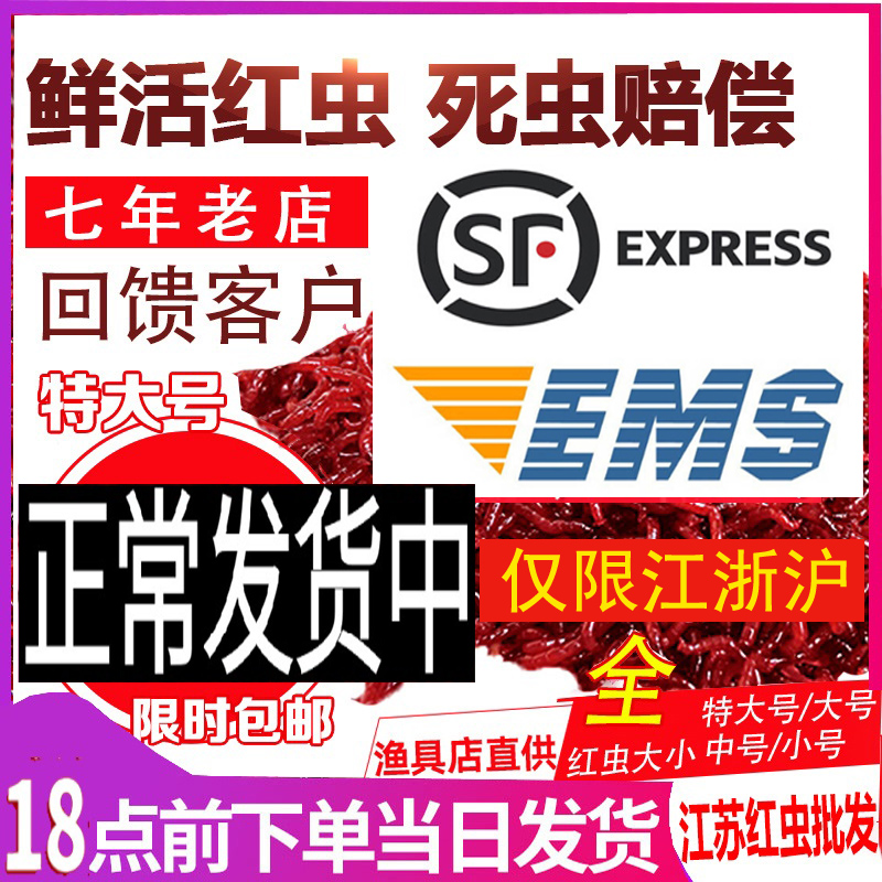 Post new live red worm live bait earthworm live black-headed male worm ...