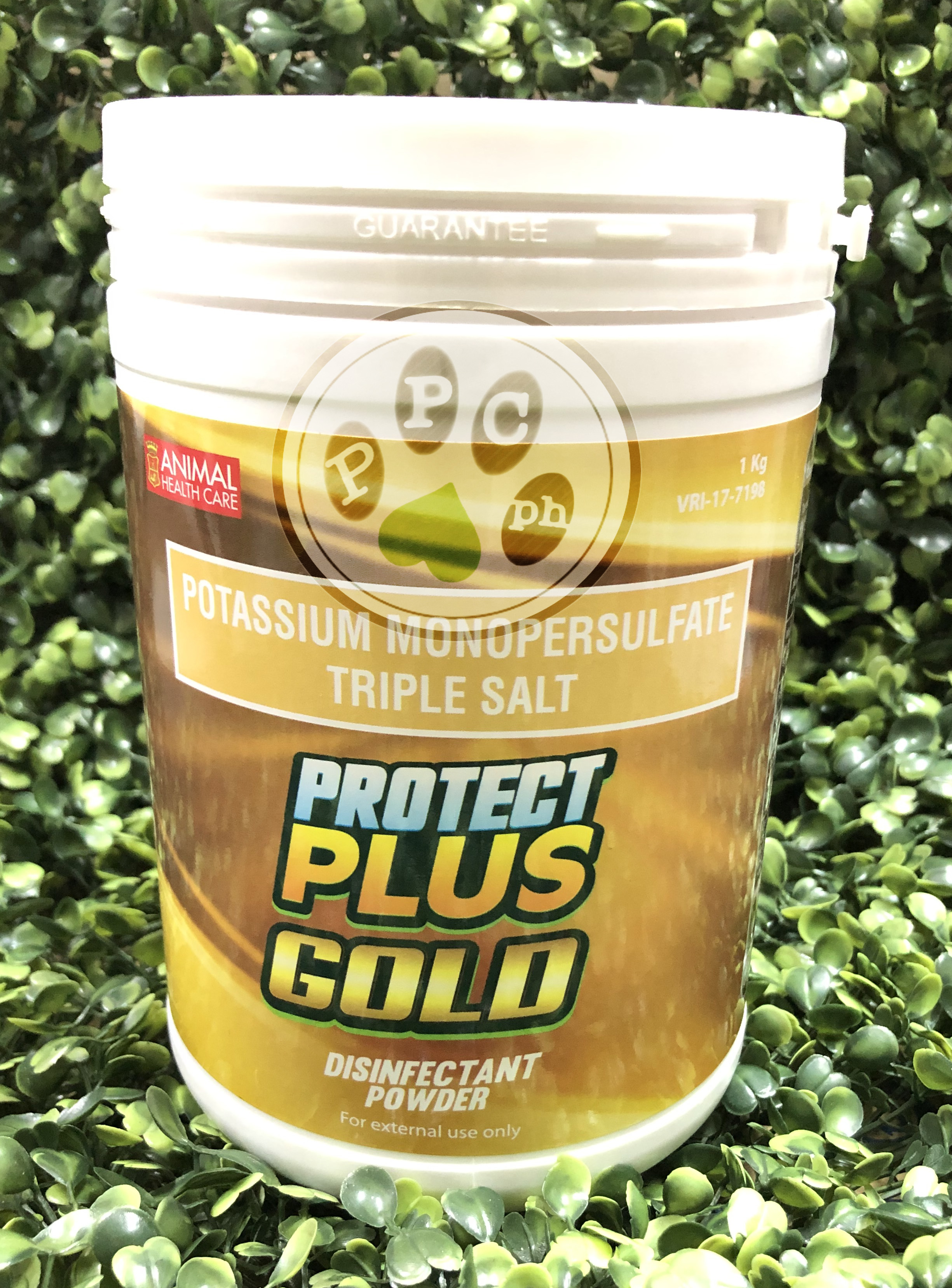 PROTECT PLUS GOLD 1kg | Lazada PH