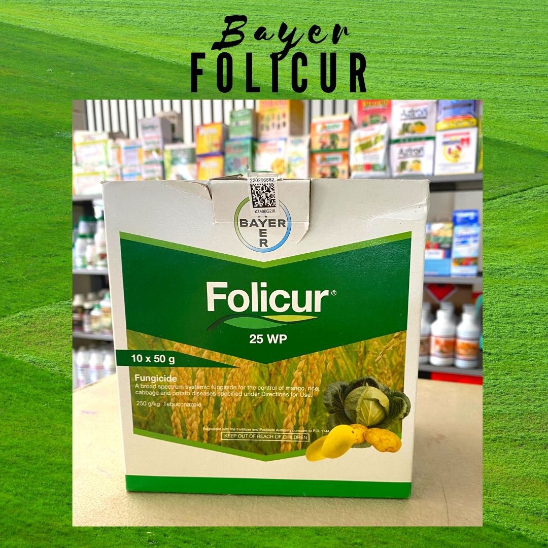 FOLICUR Fungicide 10x50g | Lazada PH