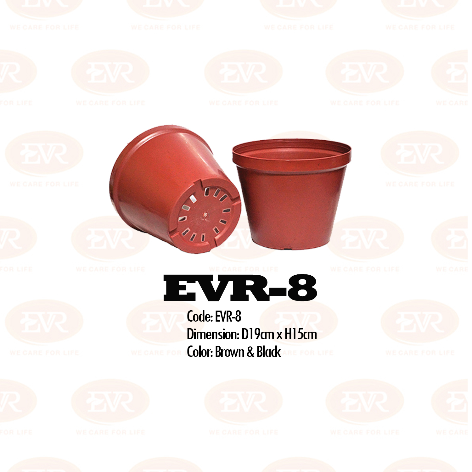 Ever Rich Pot-----E8(D19cm x H15cm)---------10 pcs | Lazada PH