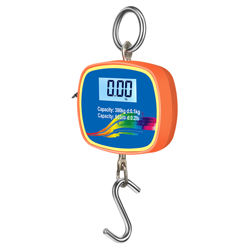 Hanging Scale Dual Display Electronic Hook Scale Charging Double sided ...
