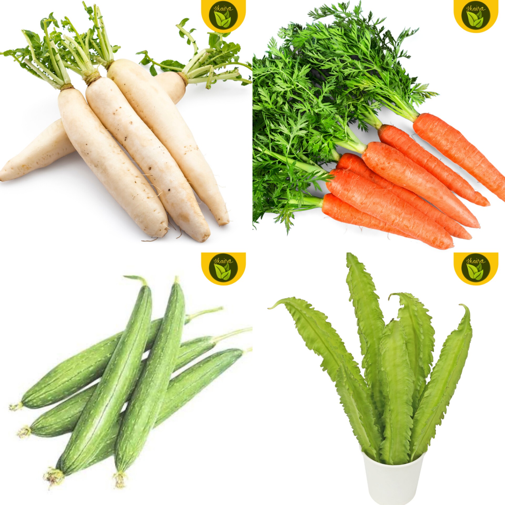 All In 4 In 1 Pack Seeds Binhi Pantanim 20 Labanos 20 Carrot 10 all-in-4-in-1-pack-seeds-binhi-pantanim-20-labanos-20-carrot-10