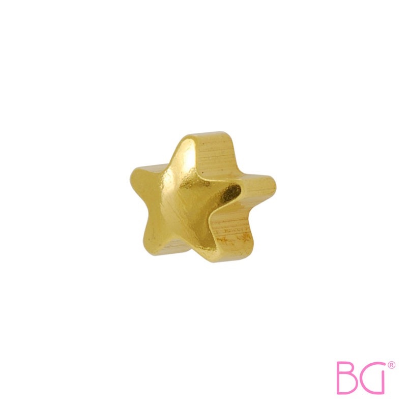 BROADWAY GEMS STUDEX Earring Star Shape Gold | Lazada PH