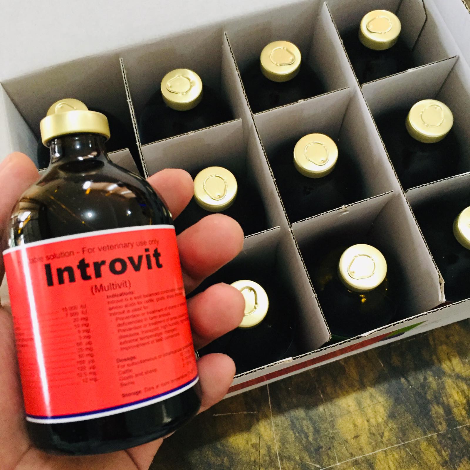 [SOUTH VET] 1Bottle 100ml Introvit Multivitamins for Gamefowl / Vitamin ...