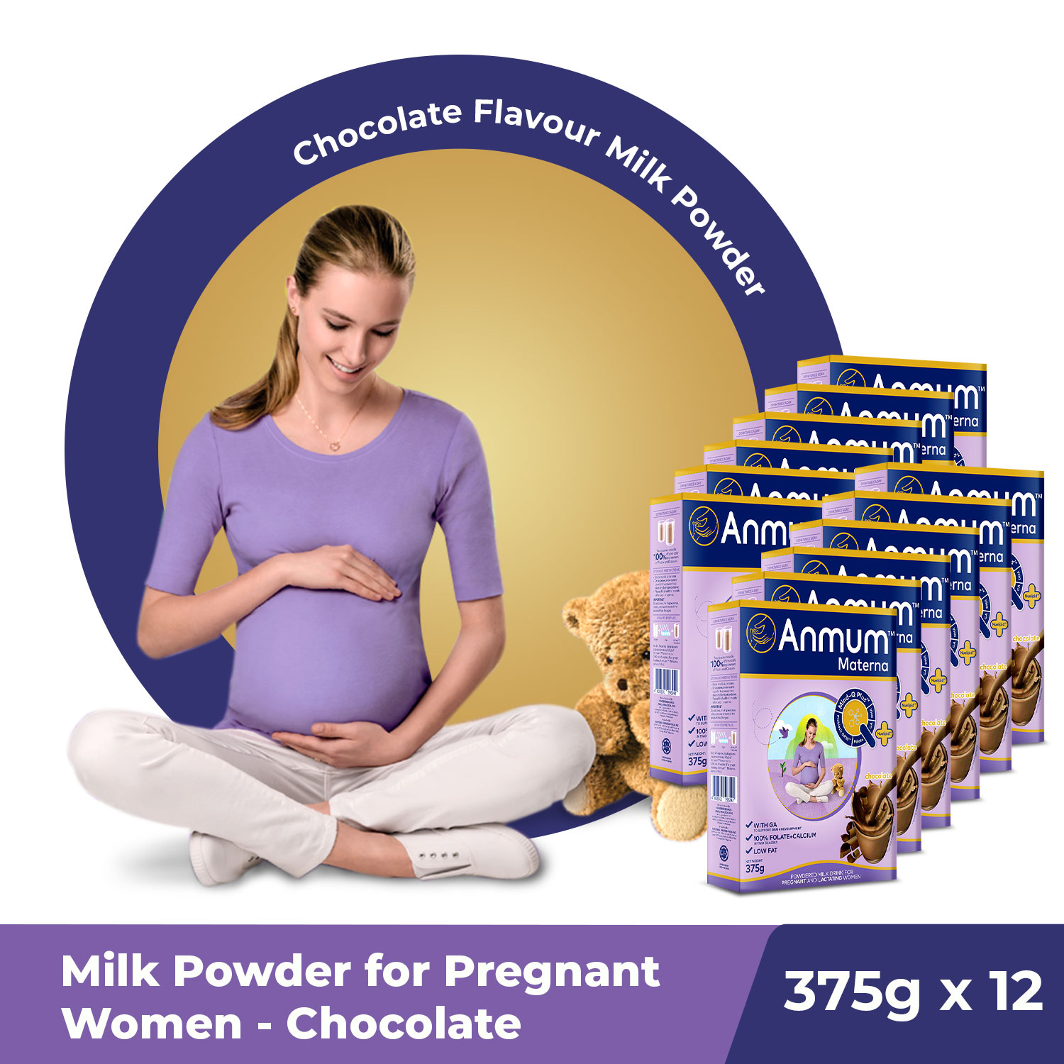 Anmum Materna Pregnancy Milk Powder Chocolate 375G x12 | Lazada PH