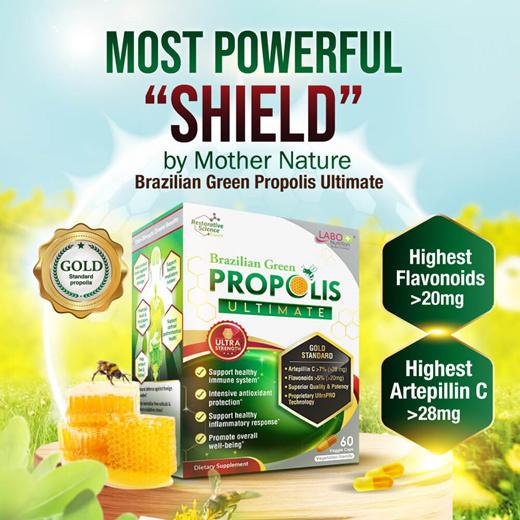Brazilian Green Propolis 60 capsules for Lung Immune System, Antiviral ...