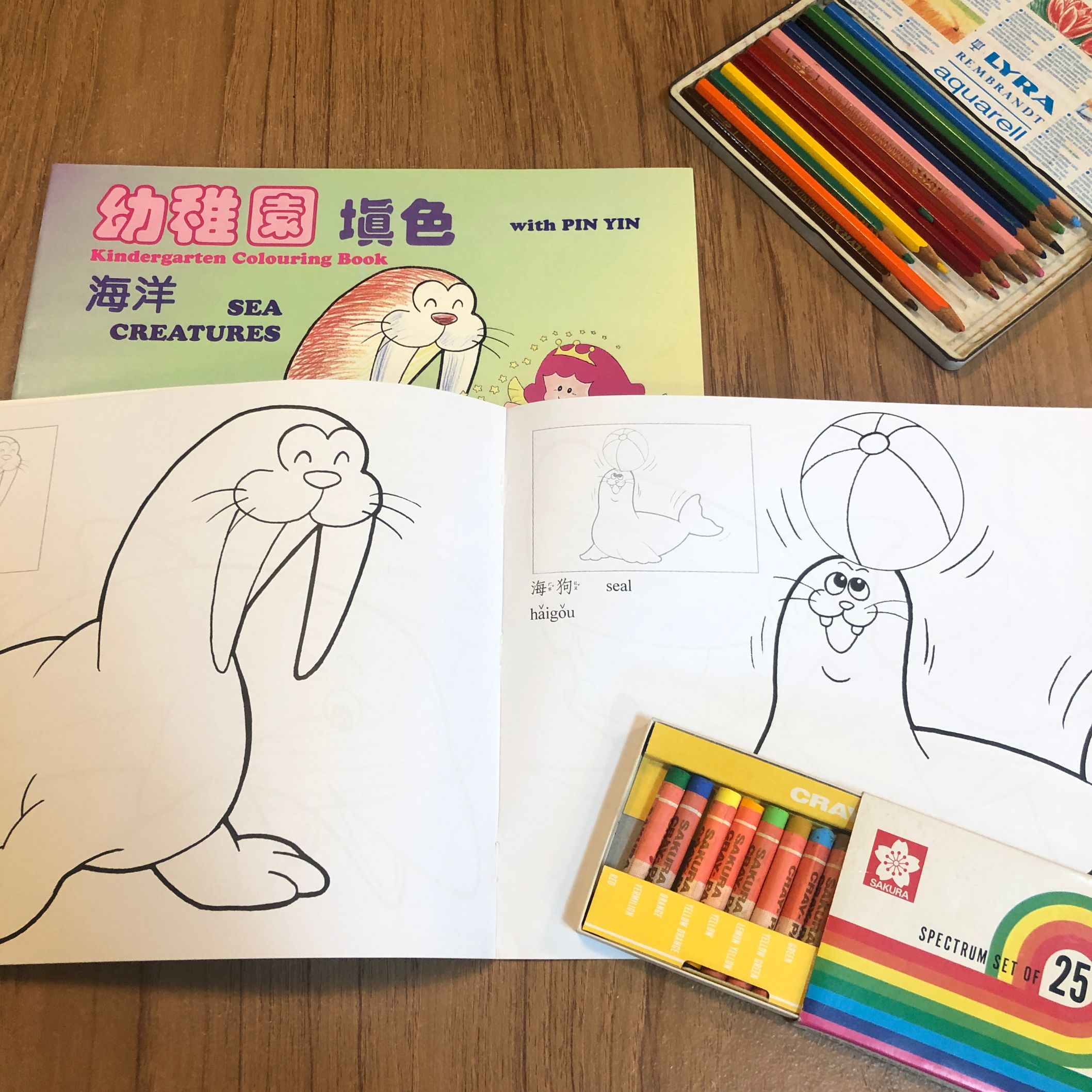 Chinese Coloring Book Set for kinder garden preschool English Mandarin ...
