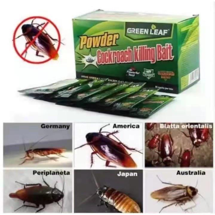 ♚Green Leaf Powder Cockroach Killing Bait (50 pieces) -- pests insect ...