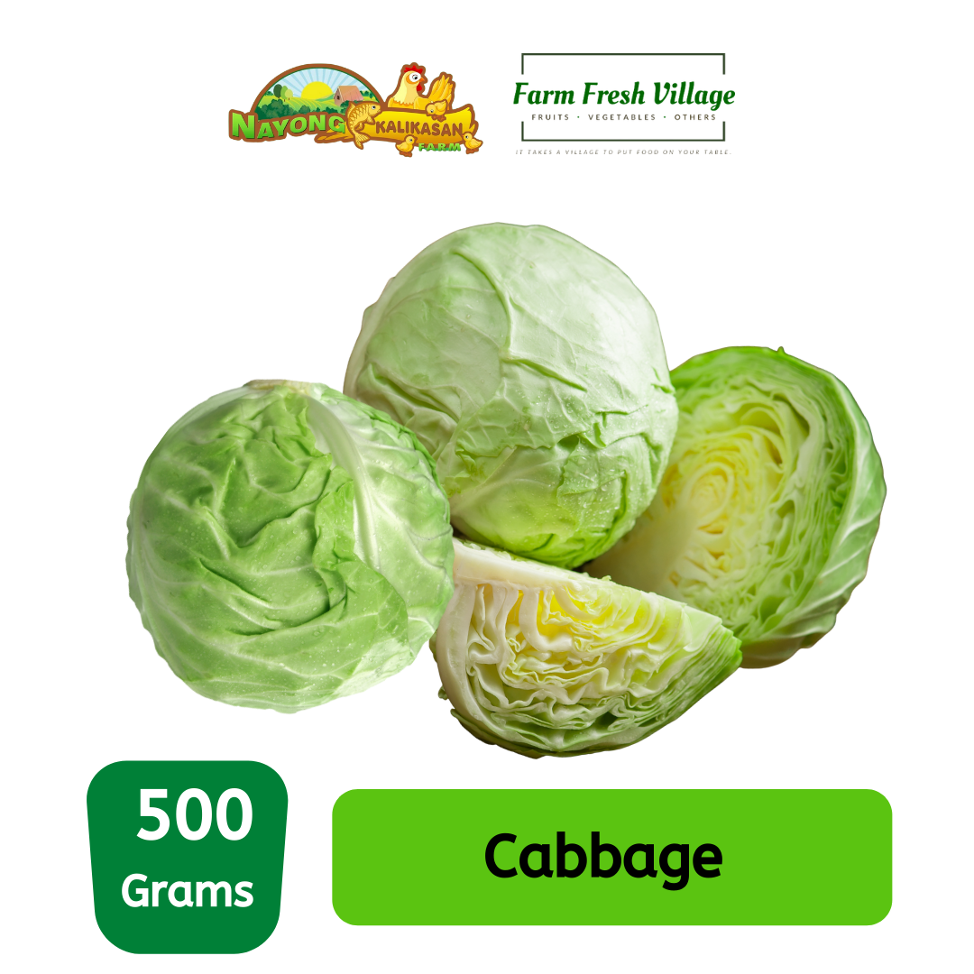 FARM FRESH VILLAGE - Cabbage 500 grams | Lazada PH