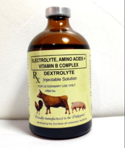 [G&G ] DEXTROLYTE / Electrolytes / Amino Acids + Vitamin B Complex ...