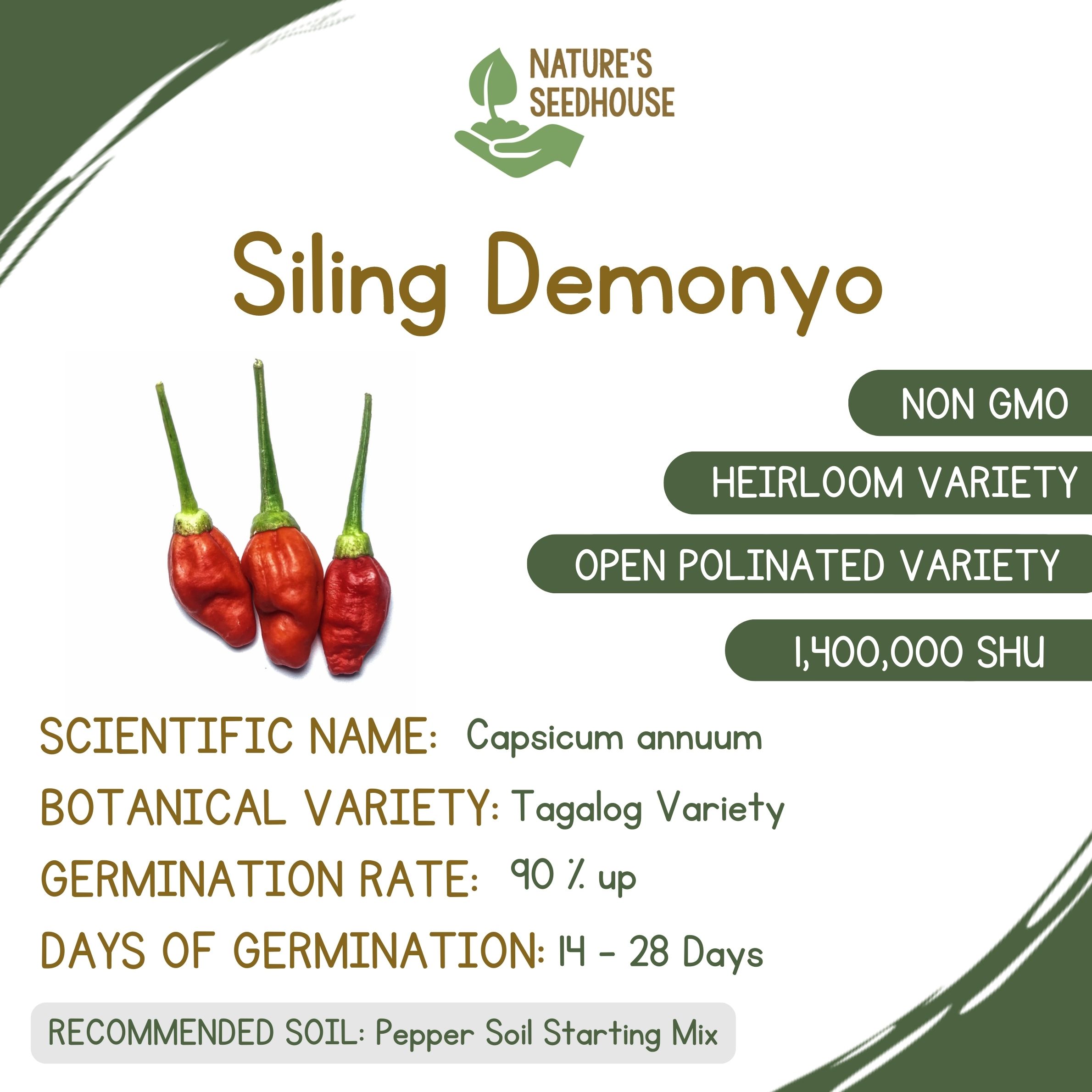 Siling Demonyo Seeds│Pepper Seeds │ Sili Seeds │ Vegetable Seeds ...