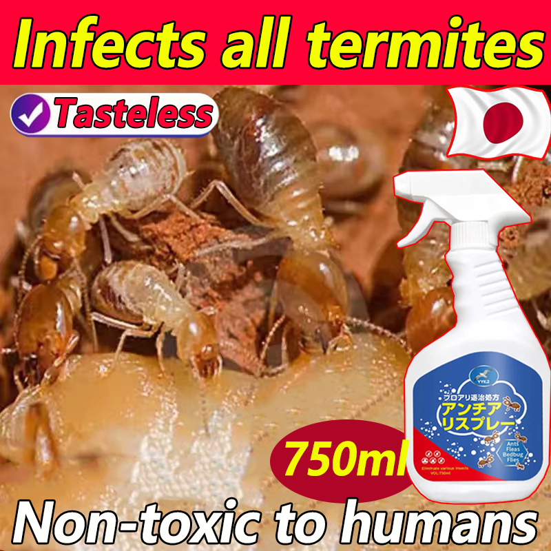 【Odourless】termites killer spray japan 750ml termite spray Original for ...