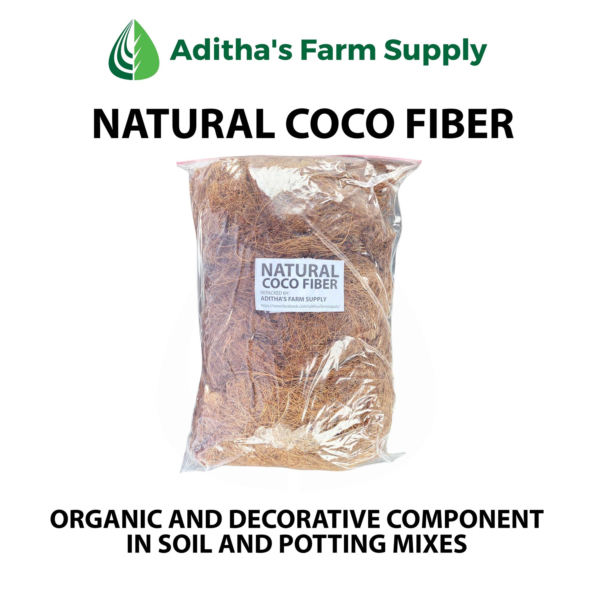 Coco Fiber (Natural Fiber Extracted From Coconut Husk) Substrate ...