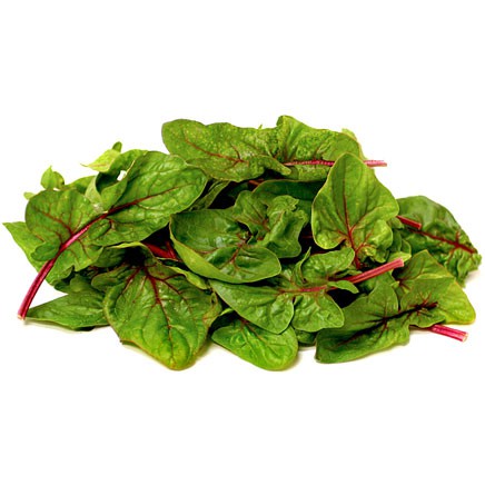 alugbati malabar spinach leafy greens vegetable plant seeds | Lazada PH