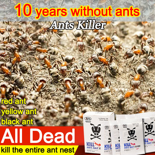 100% effective Kill Termites and their Queen in just a second Termites ...