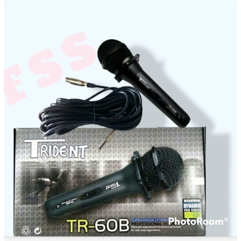 TRIDENT MICROPHONE TR-60B PROFESSIONAL SYSTEM | Lazada PH