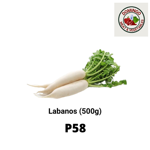 Labanos (500g) | Lazada PH
