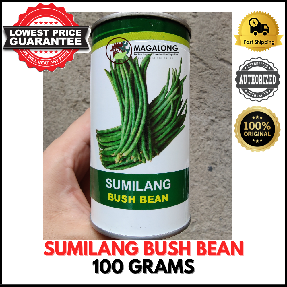 CONDOR SEEDS - SITAW SEEDS - SUMILANG BUSH BEAN 100 GRAMS | Lazada PH