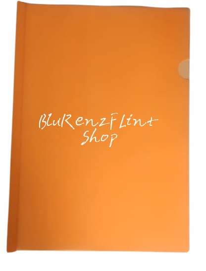 Data Sliding Plastic Folder Short | Lazada PH