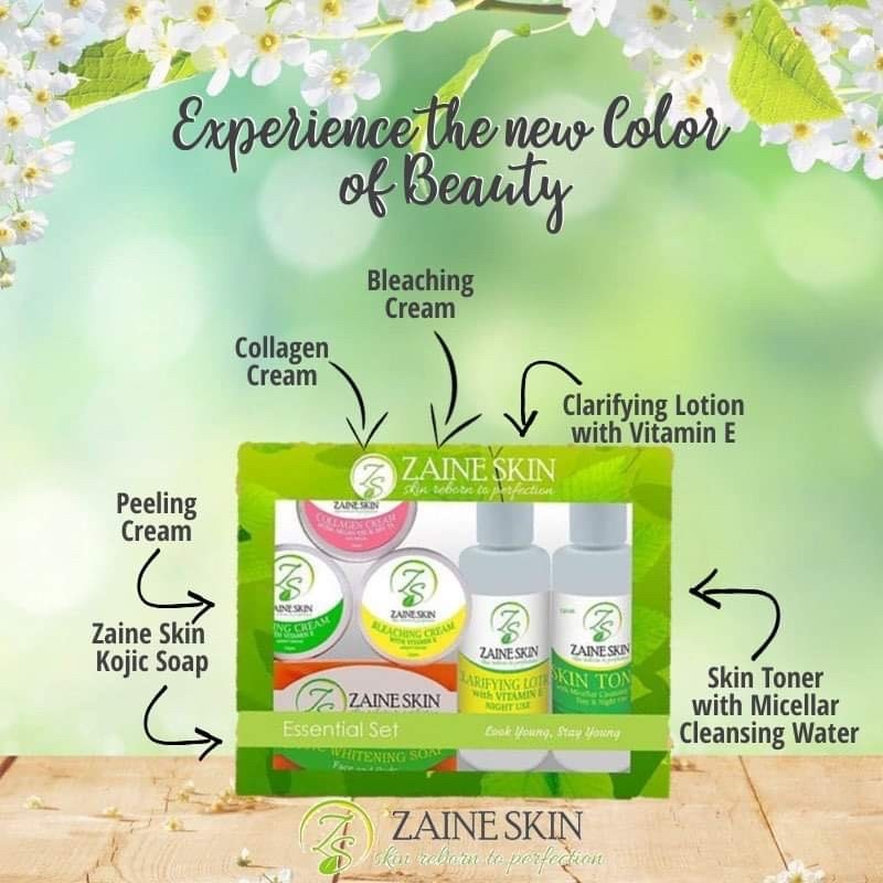 ZAINE SKIN ESSENTIAL BIG SET | Lazada PH