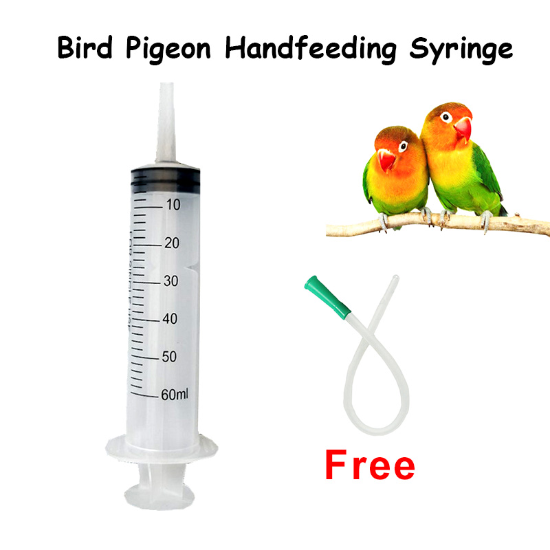Bird Handfeeding Syringe with Tube Hose Feeder for baby pigeons parrot ...