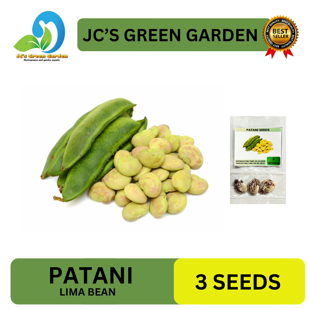 VALUE PACK (3 SEEDS) PATANI/LIMA BEAN SEEDS/HIGH YIELD/EAST TO GROW ...