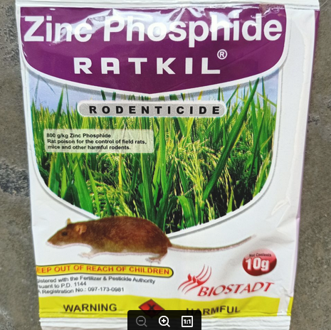 RATKIL ZINC PHOSPIDE Rat Poison 10G lason sa daga Super Effective ...